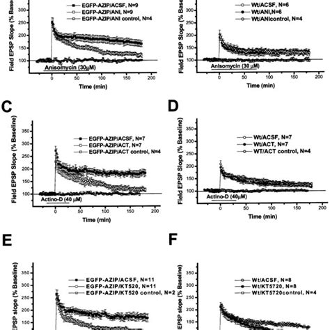 Basal Synaptic Transmission And Short Term Synaptic Plasticity A Download Scientific Diagram