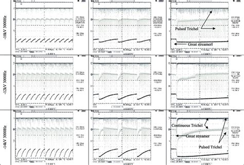 Applied Voltage Signal Uv Light Emission Signal And Download Scientific Diagram