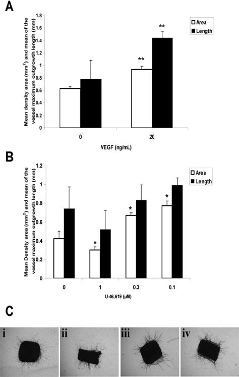 Adhesion To Vitronectin A And Fibronectin B After Treatment With Download Scientific