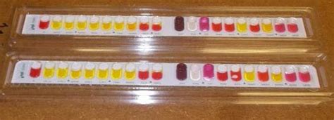 Bacteria Identification Using API Staph Download Scientific Diagram