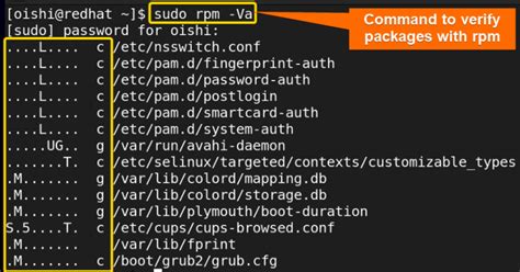 A Total Guide On RPM Package Manager In Linux LinuxSimply
