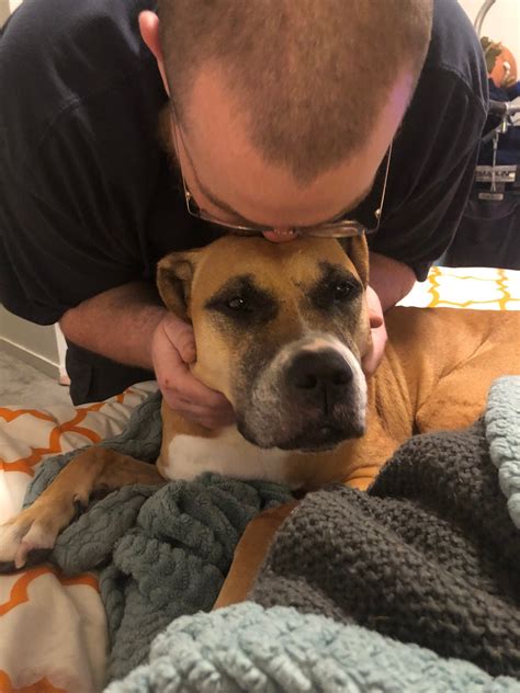 Sheri Lynne Mcdaniel