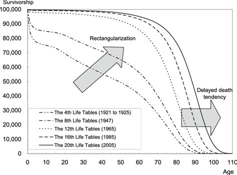 Development Of Survivorship Curve Women Download Scientific Diagram