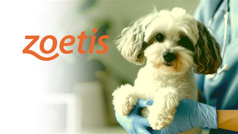 Zoetis Deposito Veterinario