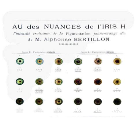 Vintage Iris Color Chart Stickers Sold By H Goodman Sku 28822342