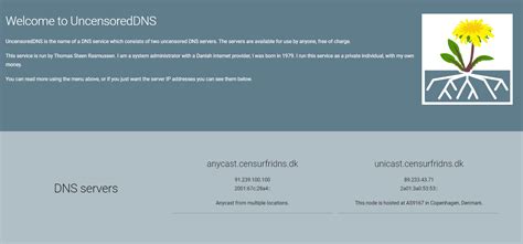 The Best DNS Servers For Improved Online Safety