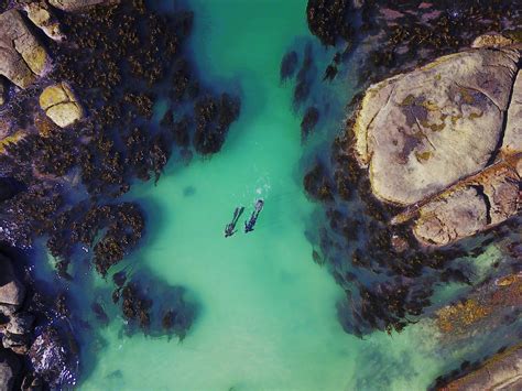 Hanli Prinsloo Mind Diving Oceanographic