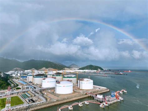 5座全球最大！揭秘中国海油金湾“绿能港”全貌