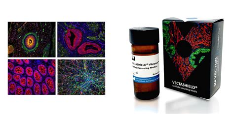 Vectashield® Mounting Media For If Switzerland