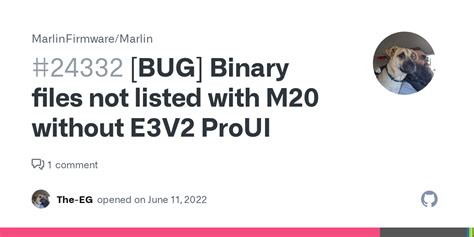 BUG Binary Files Not Listed With M20 Without E3V2 ProUI Issue