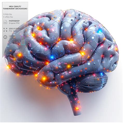 A Subset Of Ai Involving Algorithms That Allow Computers To Learn From