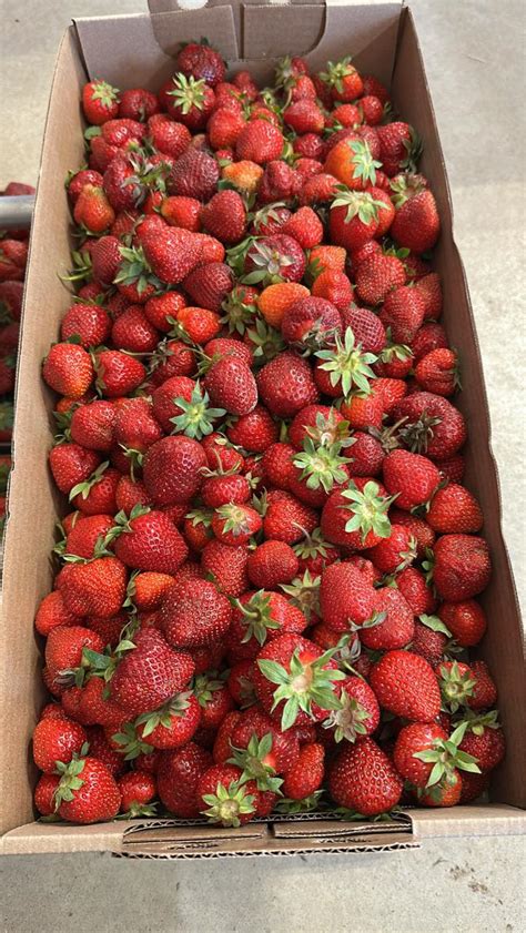 Glendale We Will Be Open Onsaturday June 21st From 7am Until 1pm For