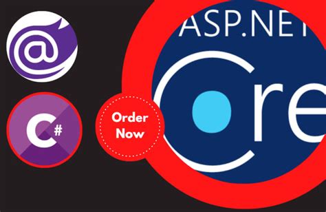 Create Asp Dotnet Core Web Application By Bit Spark Fiverr