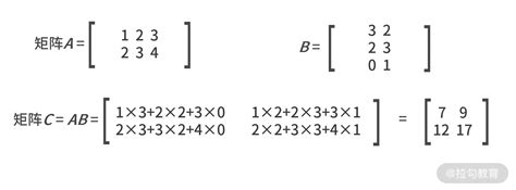 程序员的数学课06 向量及其导数：计算机如何完成对海量高维度数据计算？矩阵高纬度怎么算出来的 Csdn博客