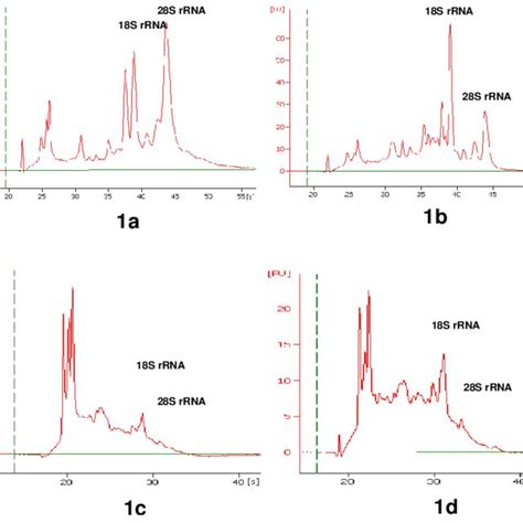 Quantification Of Rna Using Nanodrop Spectrophotometer Download Table
