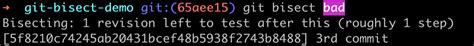 How To Use Git Bisect Relevant Programmer