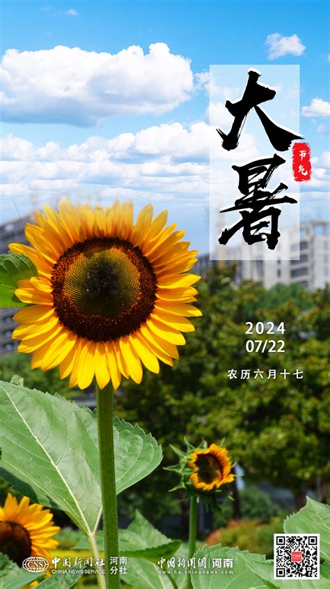 剪纸二十四节气大暑 视觉河南 中新网河南新闻
