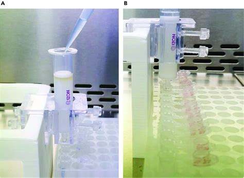 Sec Based Isolation Of Evs From Patient Derived Melanoma Cell Line