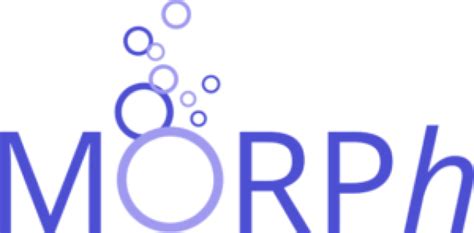 Morph Associateship Morph Consultancy