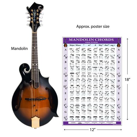 Mandolin Tunings And Sizes Mandolin Tunings And Sizes