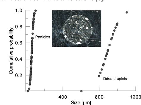 Figure 1 From Water Treeing In Xlpe Insulation At A Combined Dc And High Frequency Ac Stress