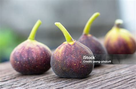 익은 무화과는 나무 테이블 위에 놓입니다 부드럽고 어두운 살과 많은 작은 씨앗이있는 배 모양의 과일은 신선하거나 말린 채로