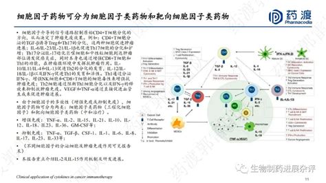 行研 下一代细胞因子药物发展趋势 脉脉
