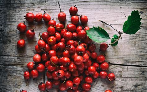 爱放屁的人，多吃这5大健脾和胃的食物，胃健康了，屁也少了！ 哔哩哔哩