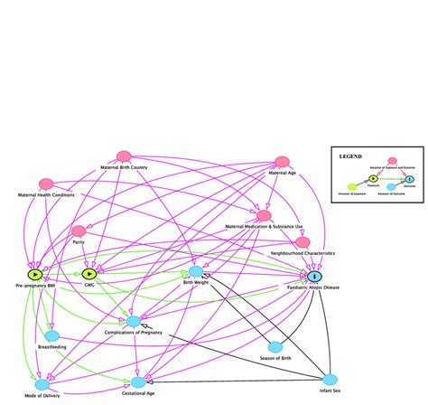 Directed Acyclic Graph Dag Of Causal Assumptions Adapted From Dumas Download Scientific