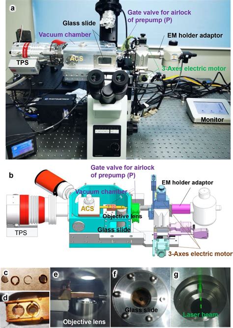 Fei Autogrid Thermo Fisher Bioz