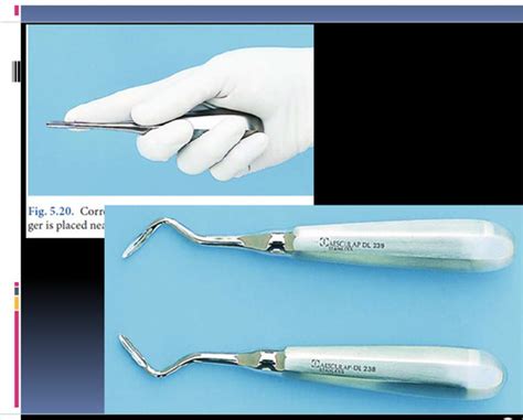 Pre Extraction Considerations Extraction Techniques Instrumentspost