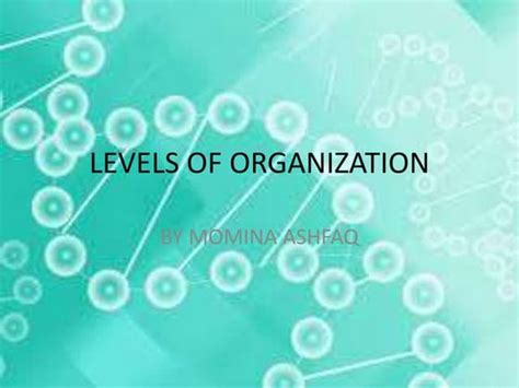 Levels Of Organization Ppt