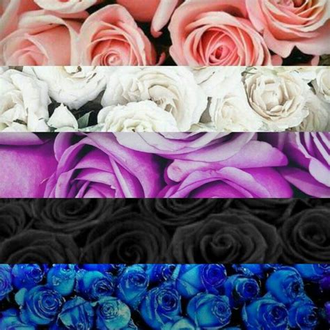 Genderfluid Iphone Wallpapers Wallpaper Cave