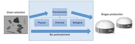 The Methods Of Biofuel Generation By Using Microalgae A Review NeuroPharmac Journal