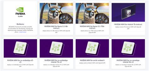 Deploying Llms With Nvidia Nim Saturn Cloud