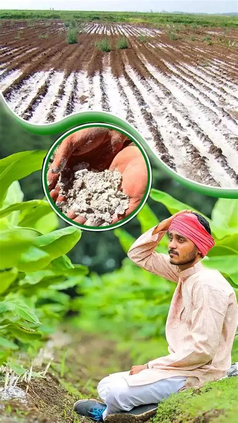 Soil Salinity In India Top Reasons And Ways To Reduce