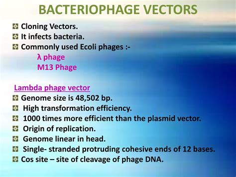 Molecular Cloning Vectors Types And Characteristics Pptx