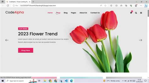 Musharaf Ali On Linkedin Internshipcompleted Webdevelopment Mscubetech Musharafali