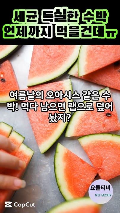 세균없이 수박보관하는 손쉬운 방법 이슈 정보 꿀팁 Youtube