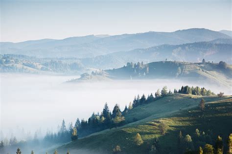 햇빛에 의해 빛나는 알파인 마을의 멋진 전망 위치 장소 카 르 파티 안 우크라이나 유럽 0명에 대한 스톡 사진 및 기타 이미지 Istock