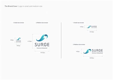 Surge Logo Design And Branding By Maria Grønlund