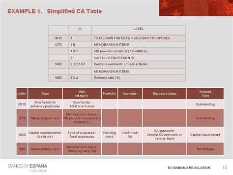 Corep Data Point Model Common Reporting Operational Network
