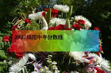 2022揭阳中考分数线 职教网