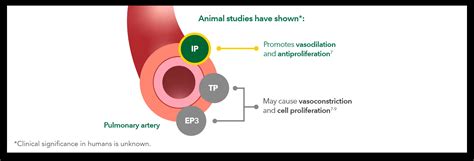 Uptravi® Selexipag Treatment Recommendations Uptravi® Hcp