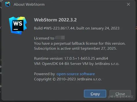 2023年了，是时候该知道jetbrains在jdk中内置了一个chromium了jetbrains Runtime ， 掘金