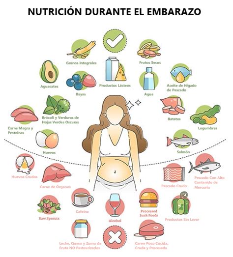 Qué Poner En El Plato Y Qué Evitar Cómo Comer Bien Durante El Embarazo