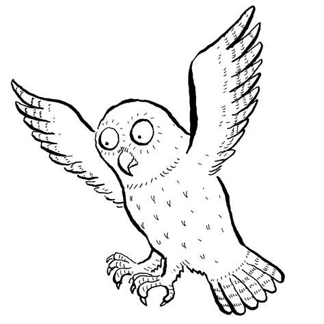 Gruffalo Owl Colouring Pages