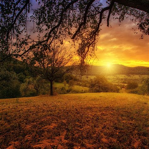 Aesthetic Nature Wallpapers Top Free Aesthetic Nature Backgrounds