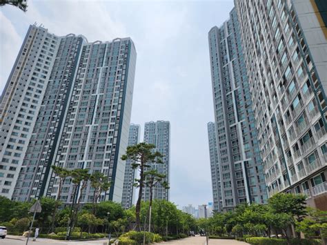 울산 남구 신정푸르지오 Golf Rental