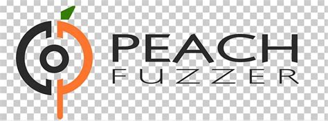 Fuzzing Computer Security Computer Software Vulnerability Organization